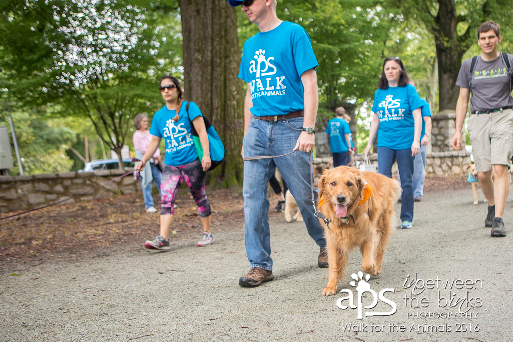 2016 Walk for the Animals