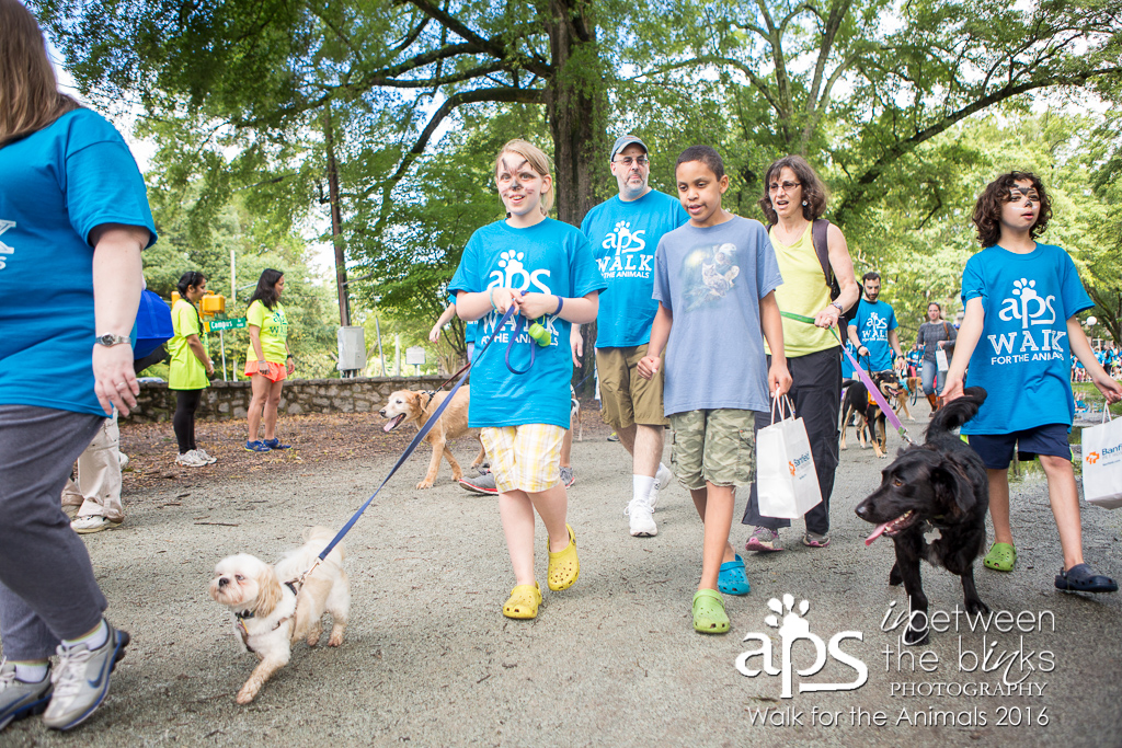 2016 Walk for the Animals
