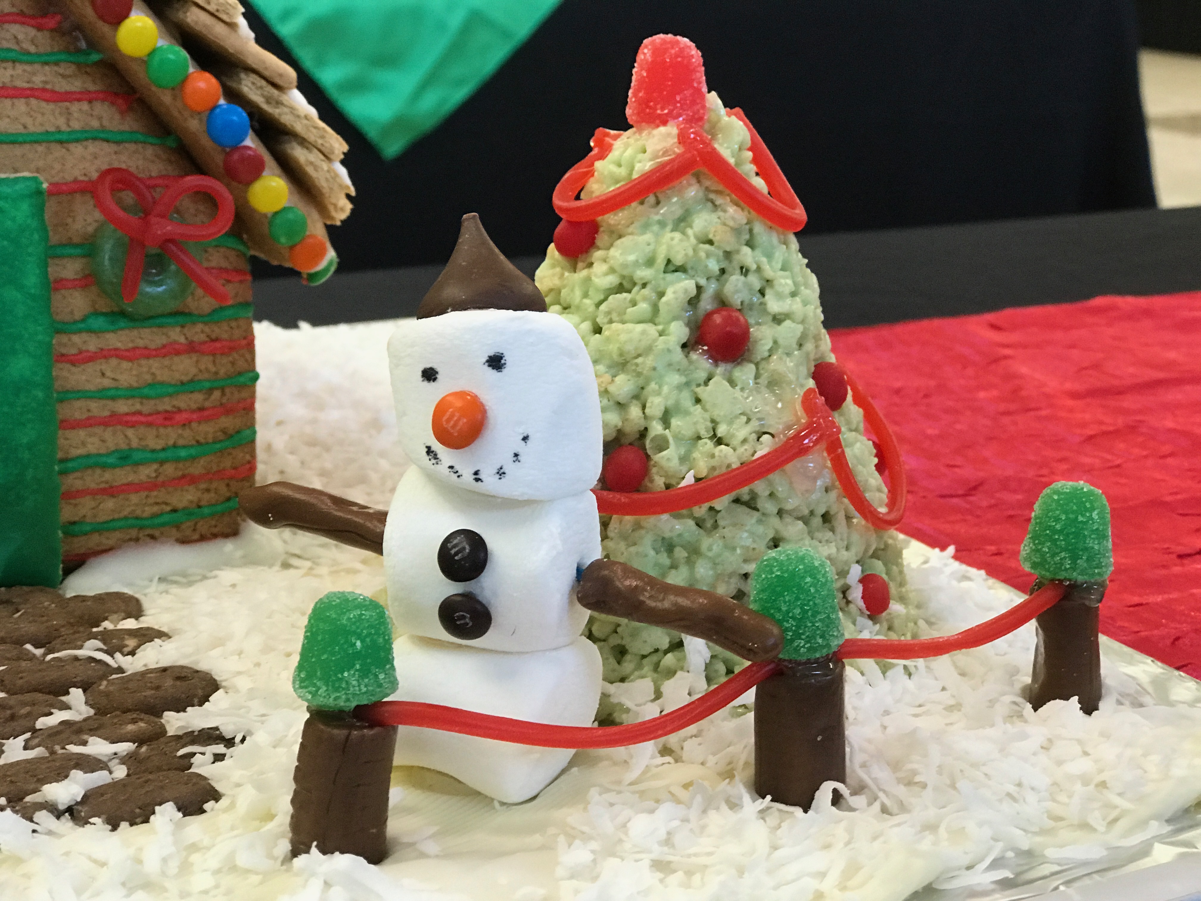 2019 Gingerbread House Competition & Display